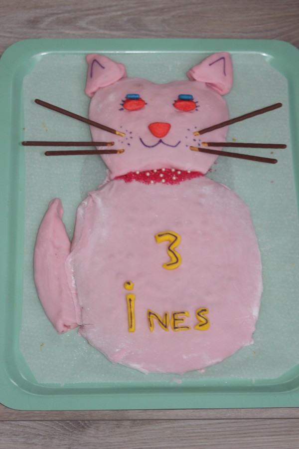 Le Chat rose d'anniversaire